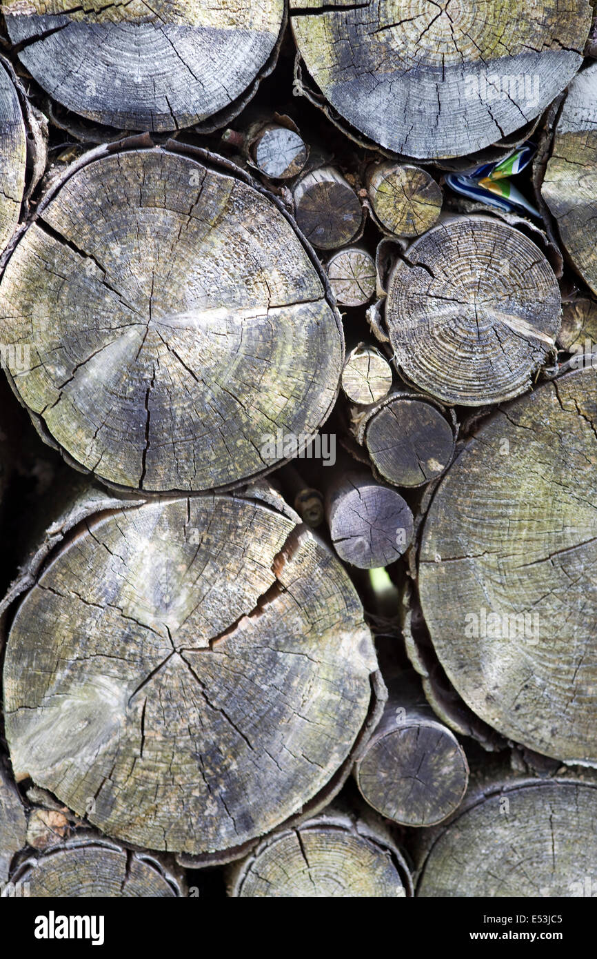 Log pile in garden wildlife hi-res stock photography and images - Alamy