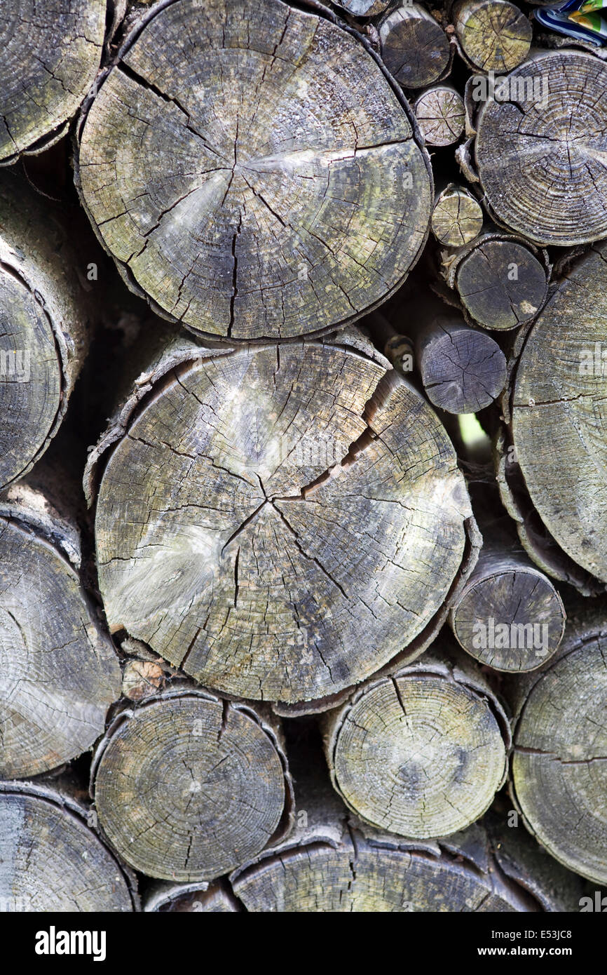 Log pile in garden wildlife hi-res stock photography and images - Alamy