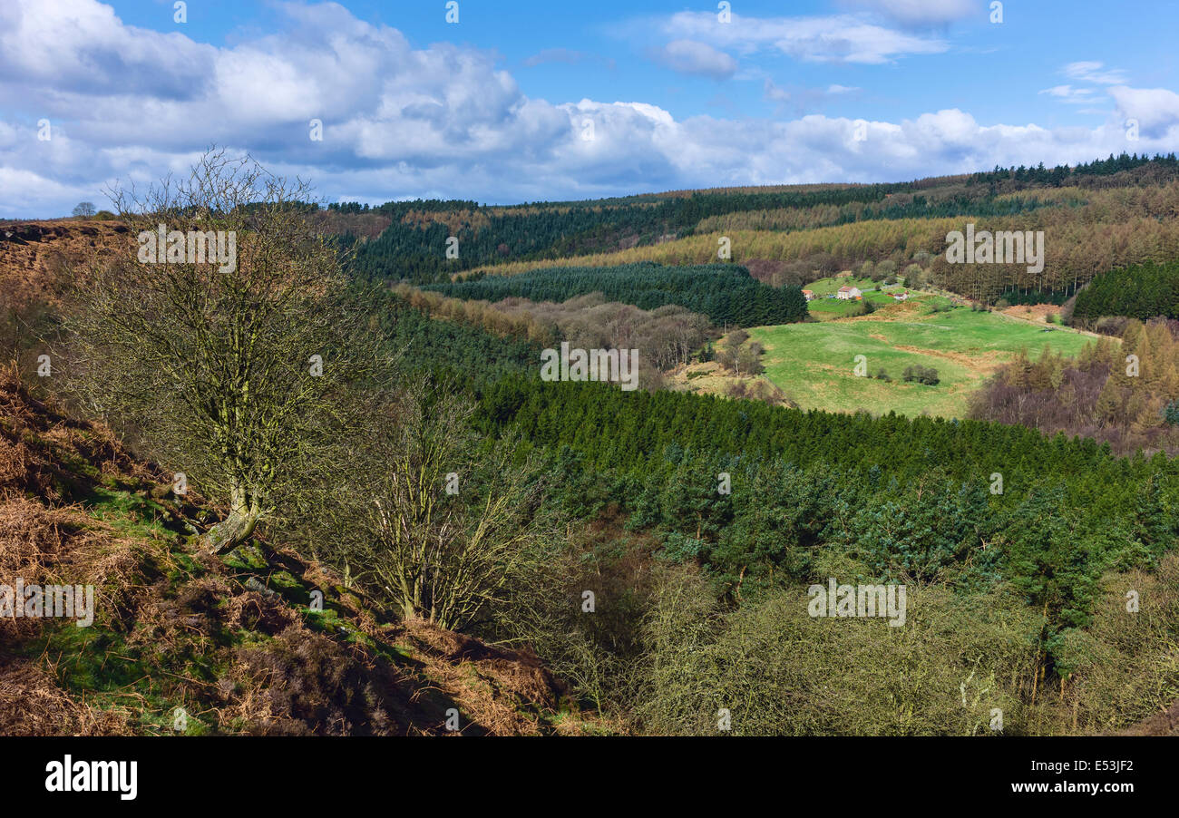 The North York Moors on a fine spring morning showing the undulating ...