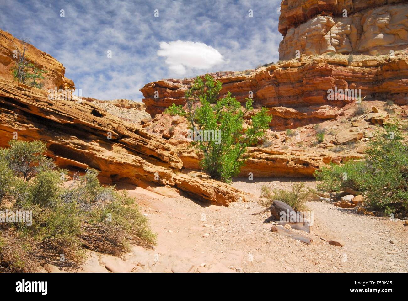 Desert Country w/clouds Utah Southwest USA Stock Photo - Alamy