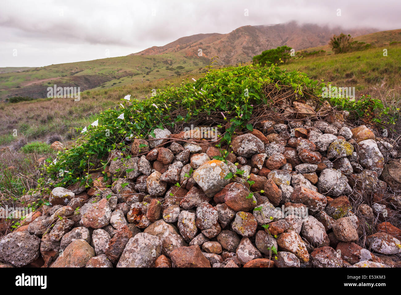 Chumash burial site above Smugglers Cove, Santa Cruz island, Channel ...