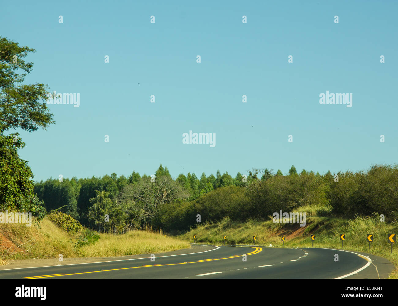 Perfect paved road with signs showing a curve Stock Photo - Alamy