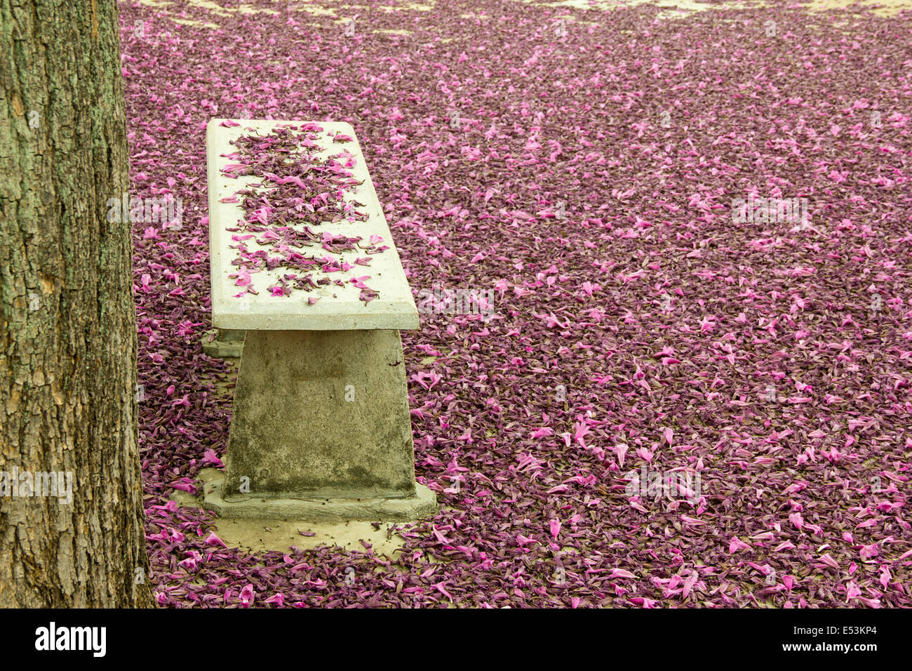 Beautiful season season color hi-res stock photography and images - Alamy