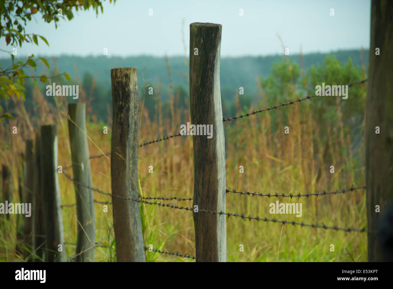Fence made of wood and barbed wire Stock Photo - Alamy
