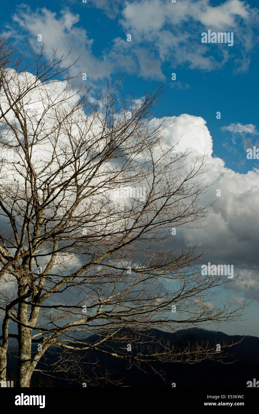 Blue Sky, Clouds, Great Smoky Mtns NP, TN-NC Stock Photo - Alamy