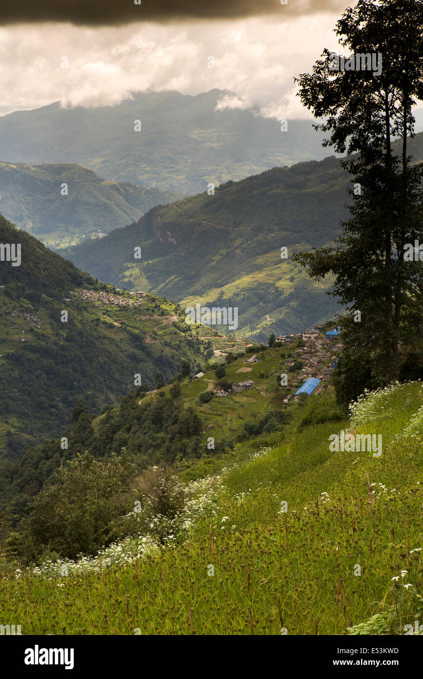 Nepal, Trekking, view down onto Ulleri and Tikedungha in Bhurungdi ...