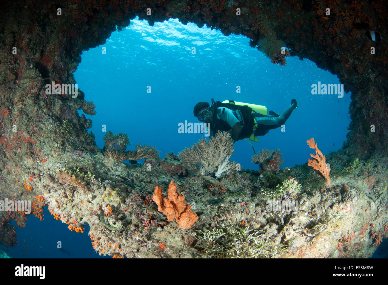 Caves And Caverns In Maldives Hi Res Stock Photography And Images Alamy