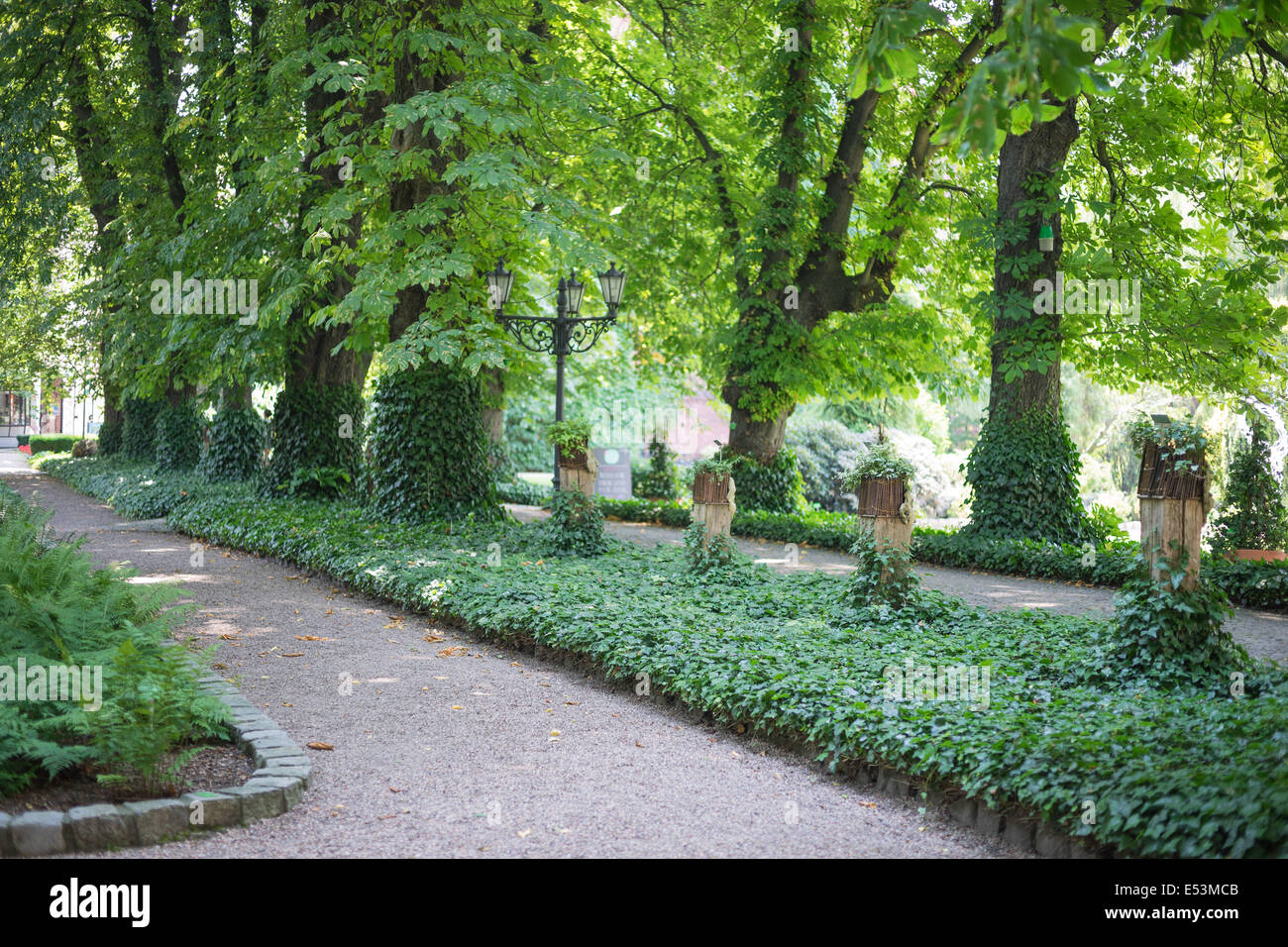 Wroclaw Botanical Gardens Stock Photo - Alamy