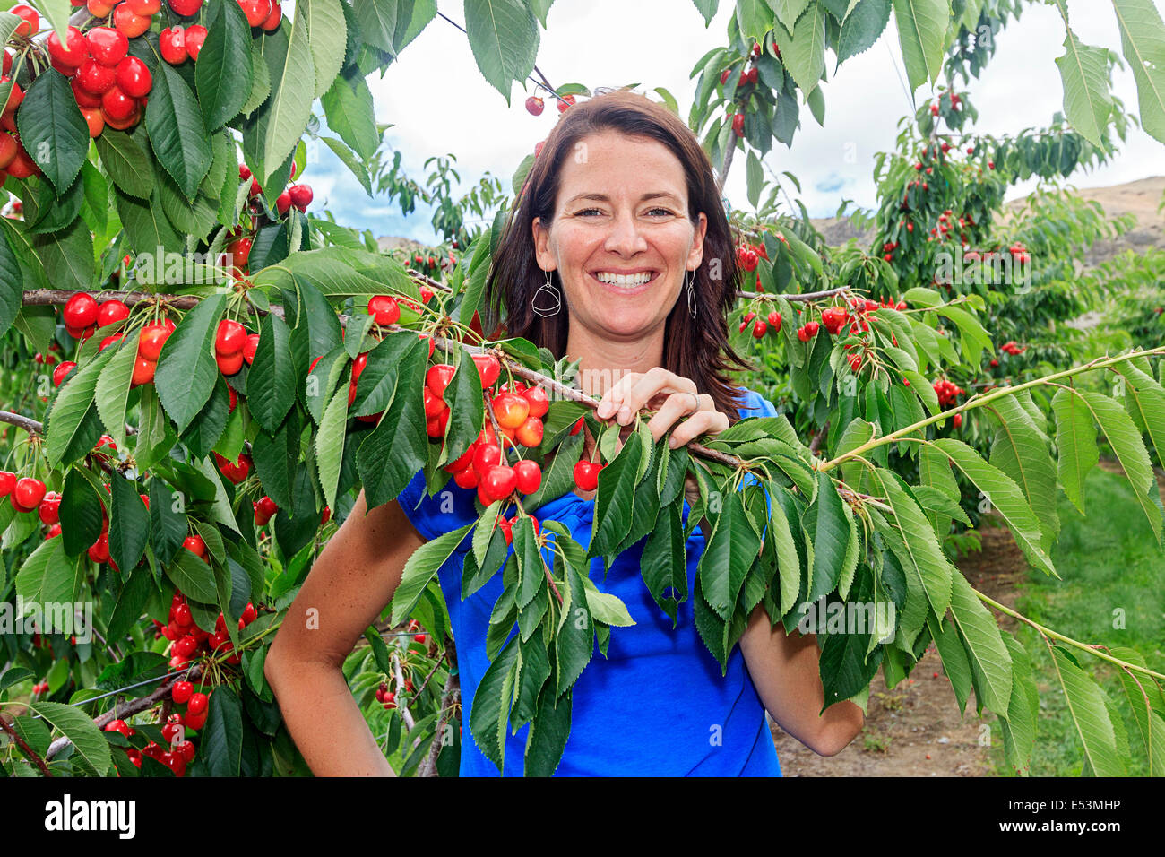 Cherry orchard usa hi-res stock photography and images - Alamy