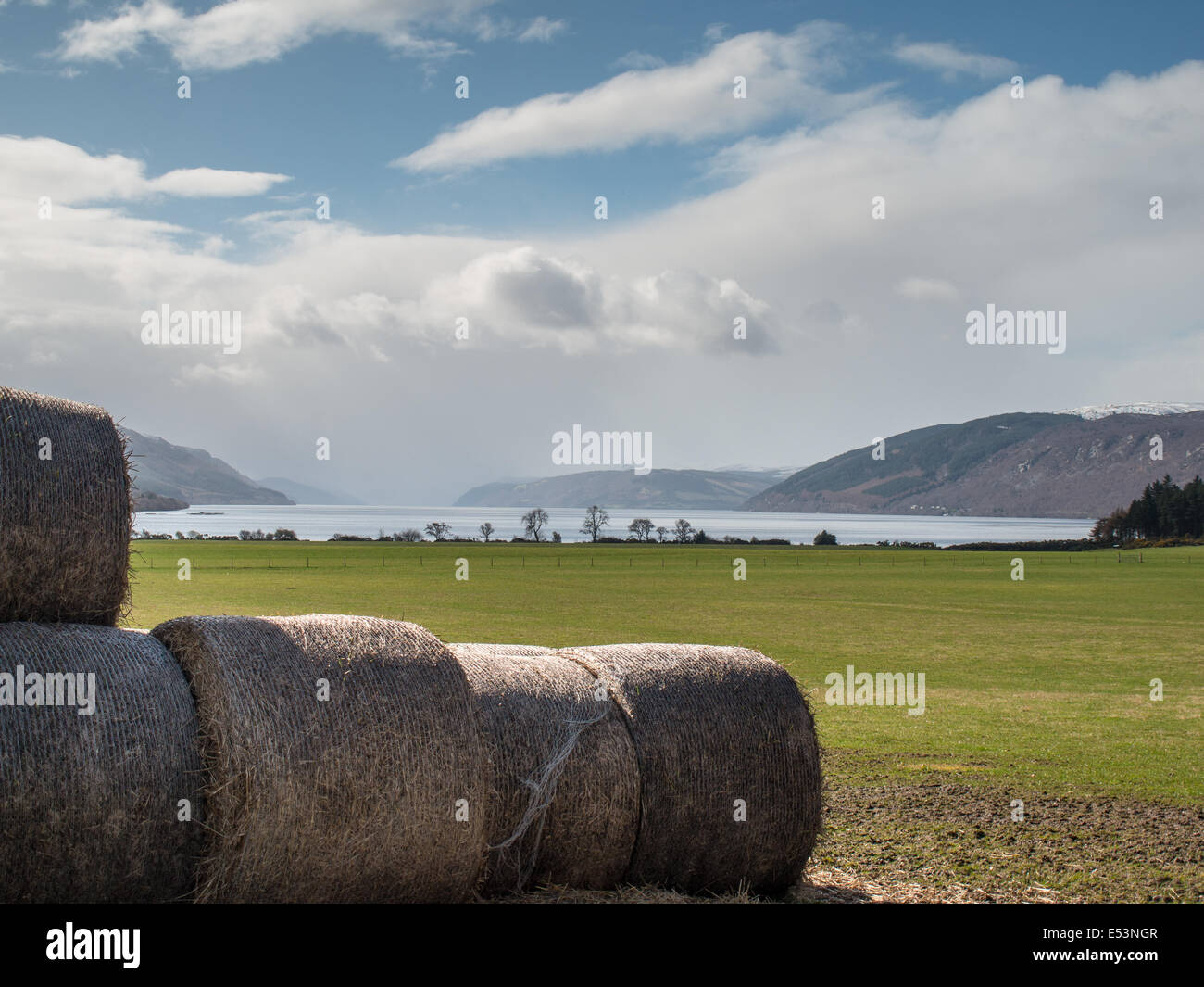 Hay roles in Loch Nech valley Stock Photo - Alamy