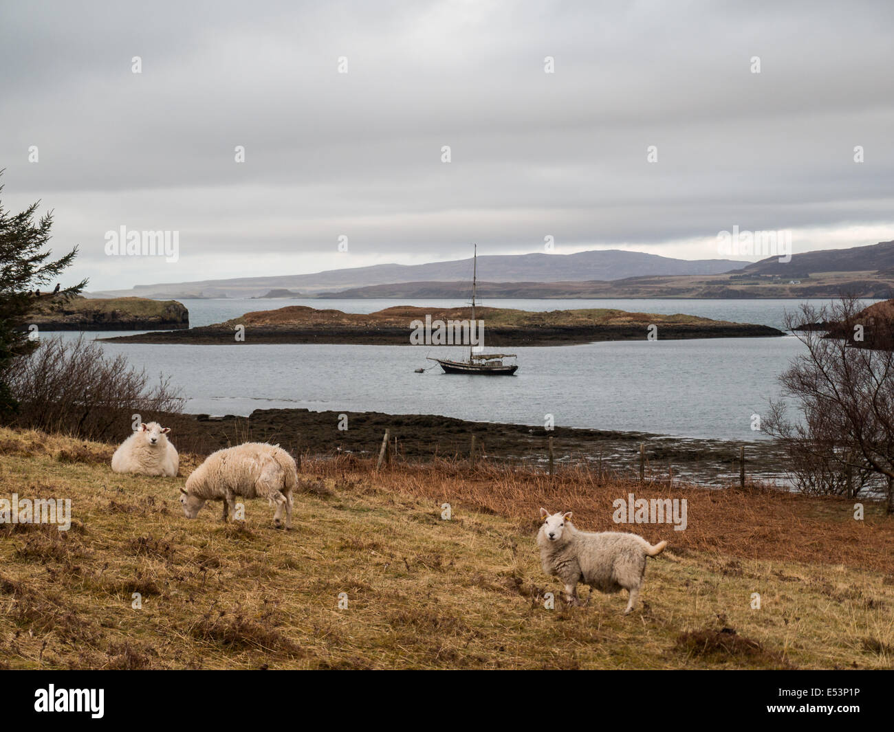 Duirinish peninsula hi-res stock photography and images - Alamy