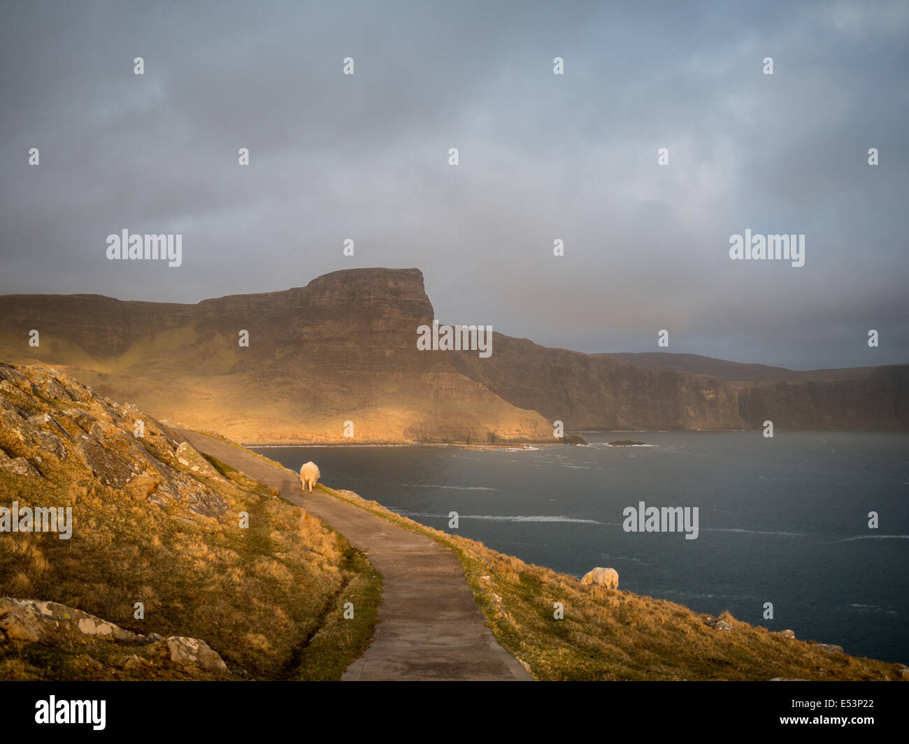Neist point cliffs hi-res stock photography and images - Alamy