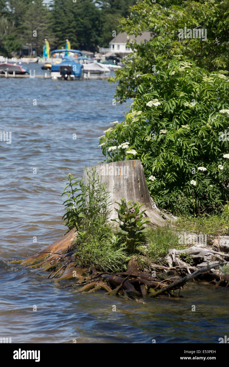 Lake shore at Silver Lake State Park, Silver Lake, MI, USA Stock Photo ...