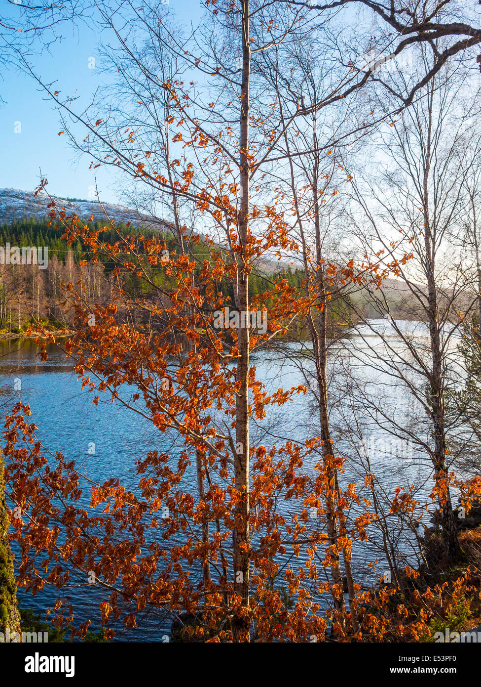 Natural water colors hi-res stock photography and images - Alamy