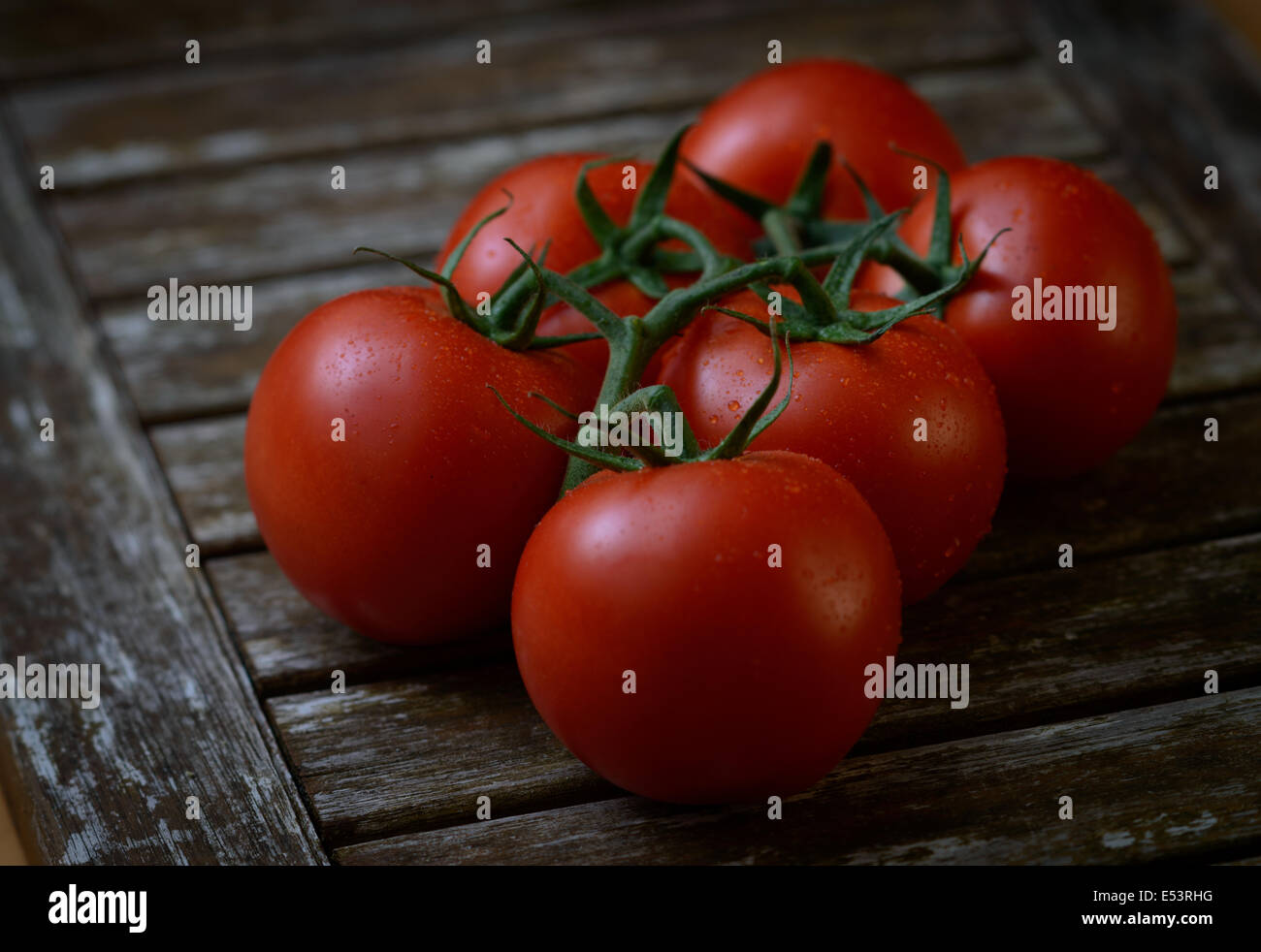 Healthy vine hi-res stock photography and images - Alamy