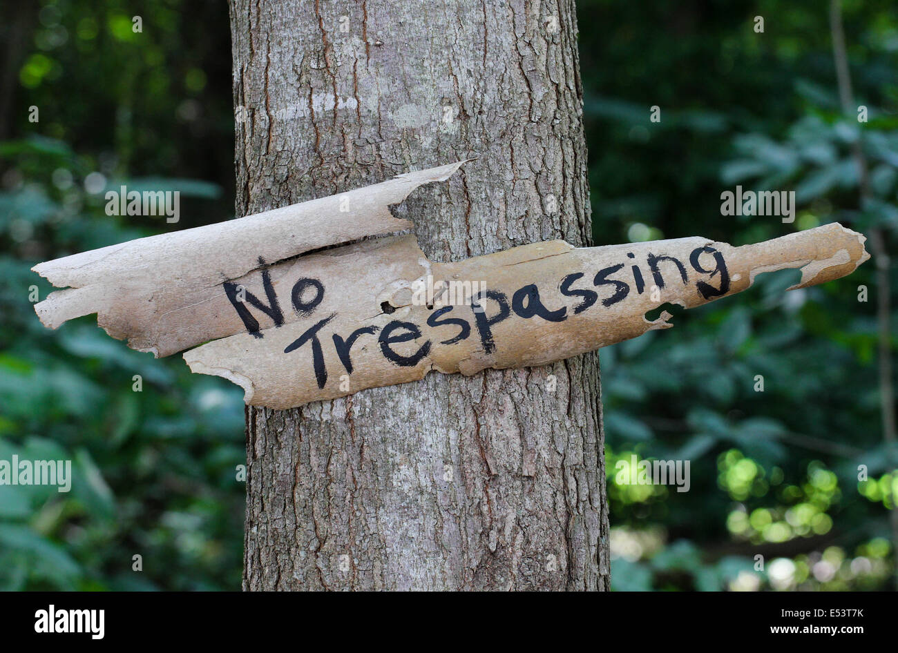 No Trespassing sign hanging on tree in forest Stock Photo - Alamy
