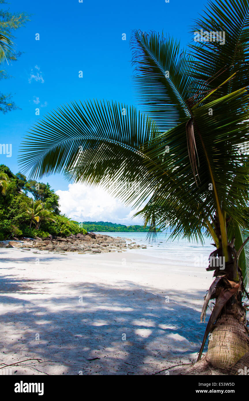 Beautiful tropical beach with white sand, blue waters and colorful ...
