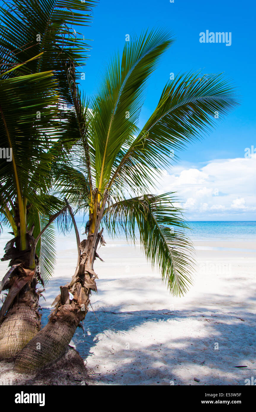 Beautiful tropical beach with white sand, blue waters and colorful ...