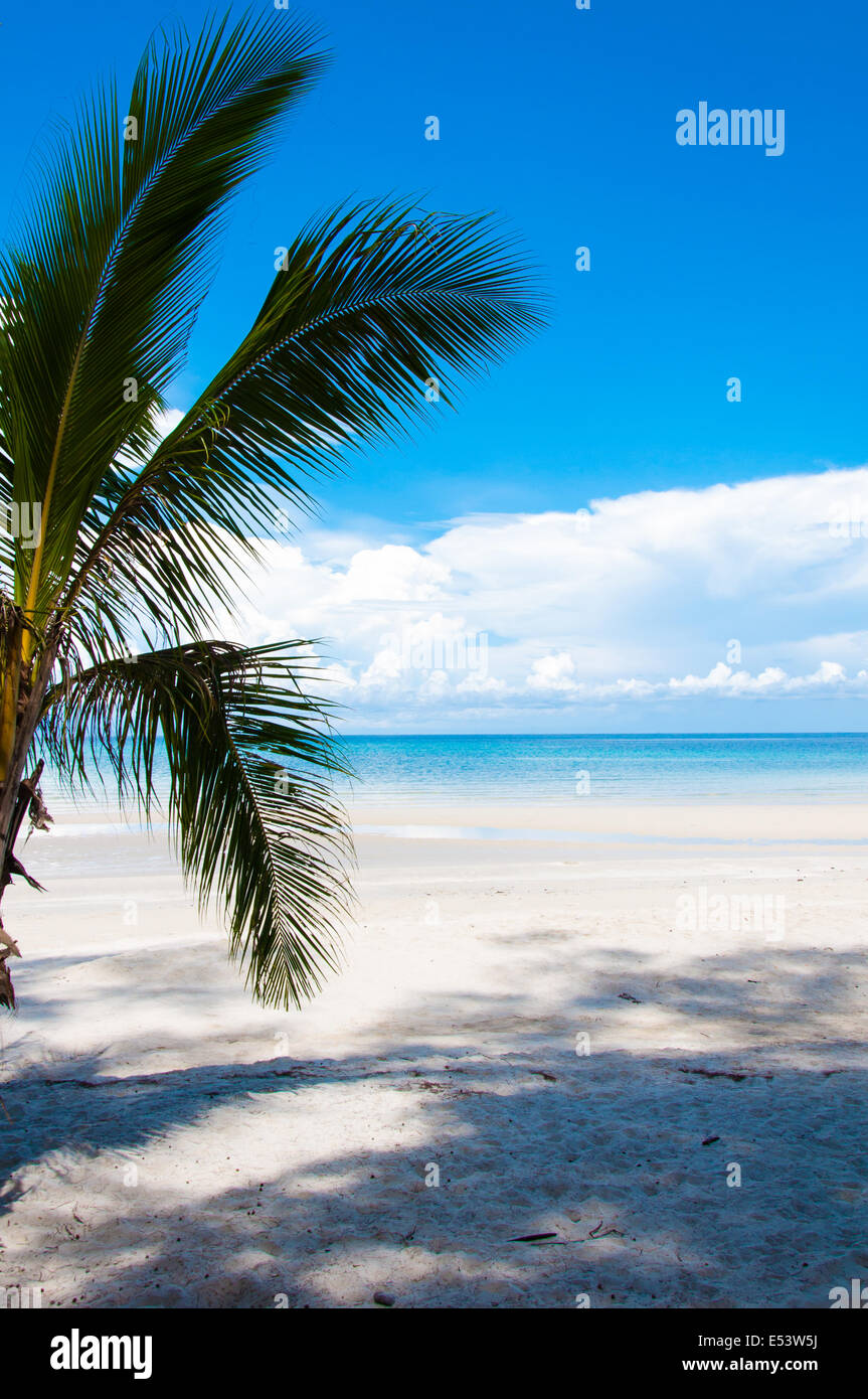 Beautiful tropical beach with white sand, blue waters and colorful ...