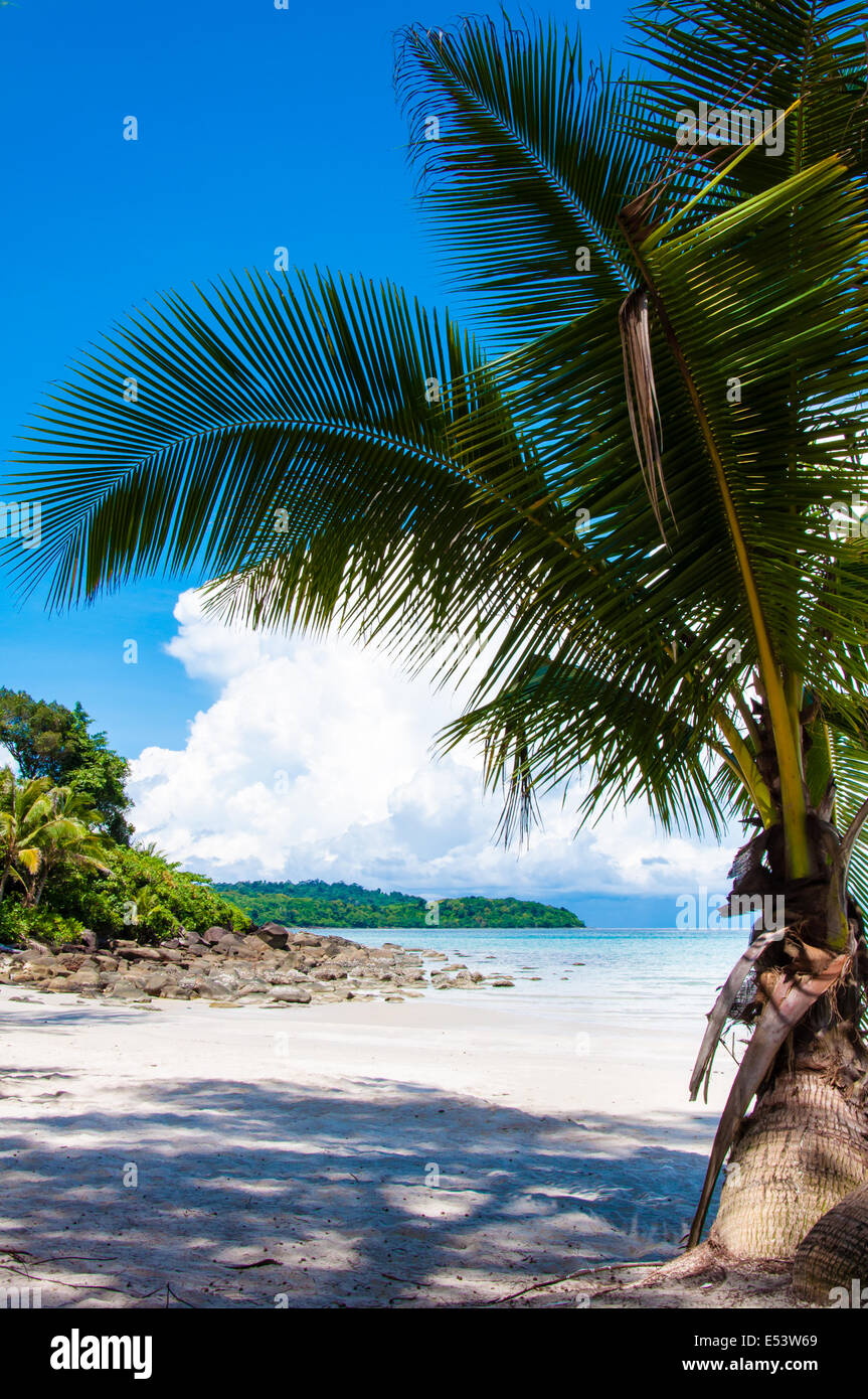 Beautiful tropical beach with white sand, blue waters and colorful ...