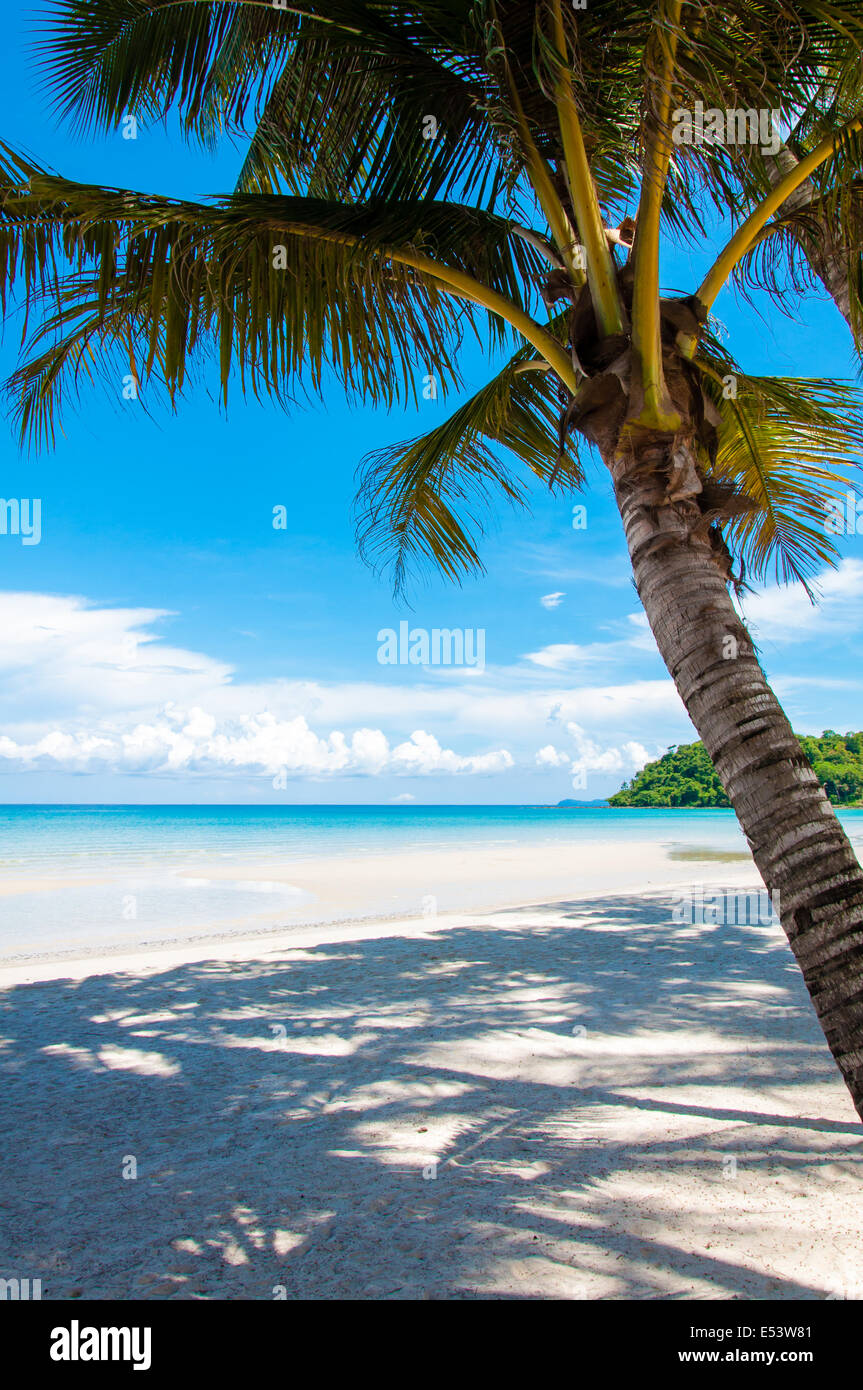 Beautiful tropical beach with white sand, blue waters and colorful ...