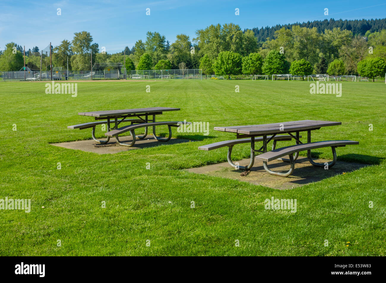 Picnic tables on green lawn in a park Stock Photo - Alamy