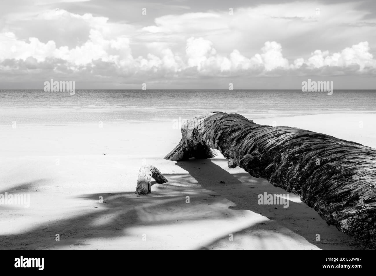 White background hdr hi-res stock photography and images - Alamy