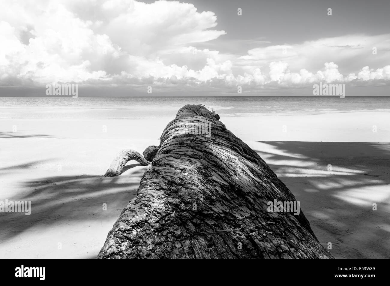 White background hdr hi-res stock photography and images - Alamy