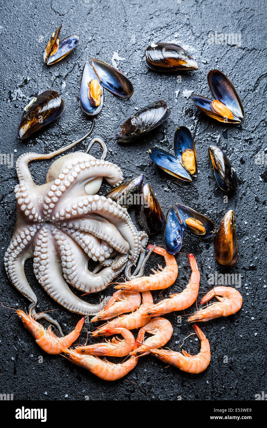 Different Mollusks Food High Resolution Stock Photography and Images ...
