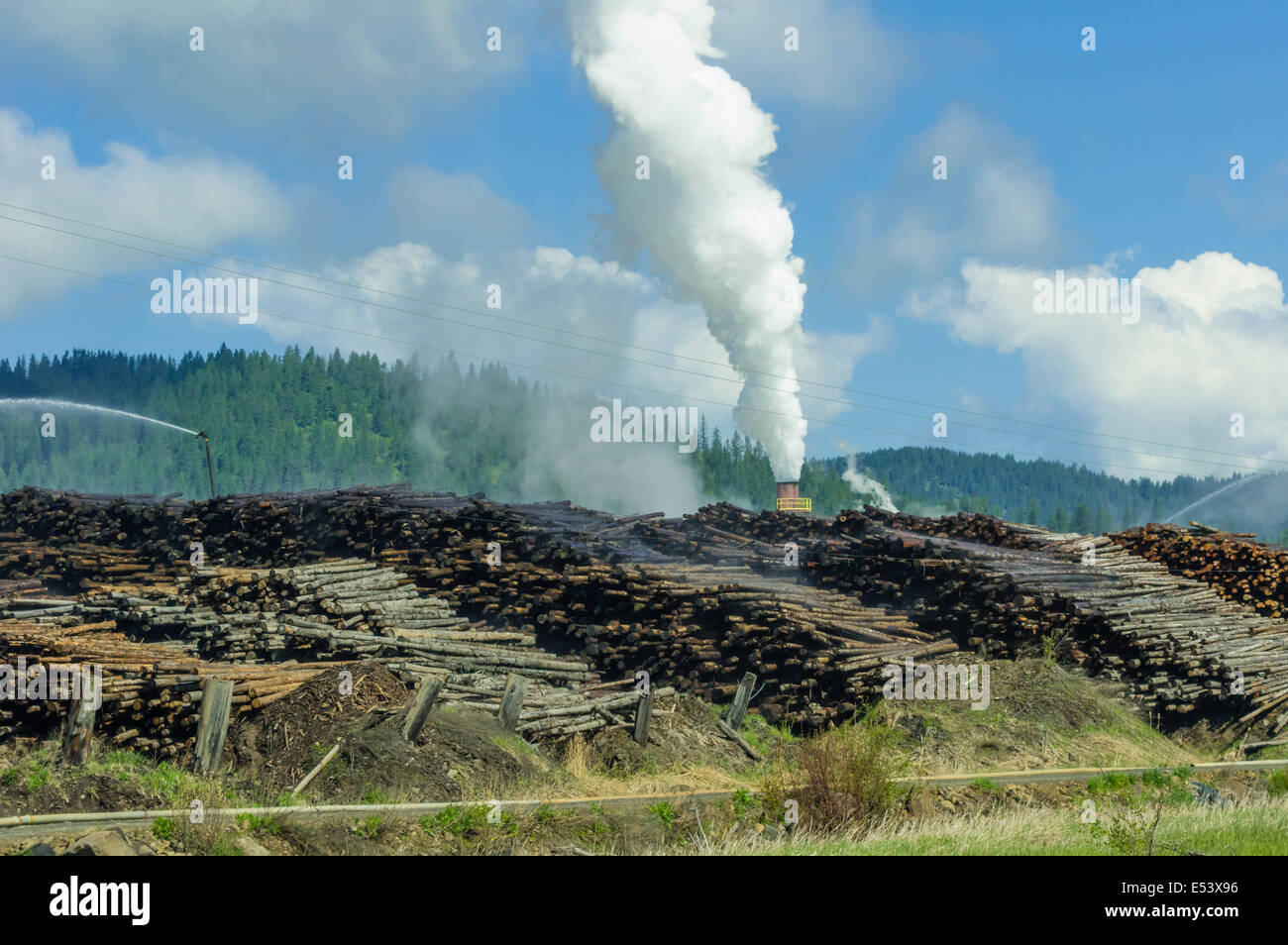 Lumber mill lot with kiln and logs Stock Photo - Alamy