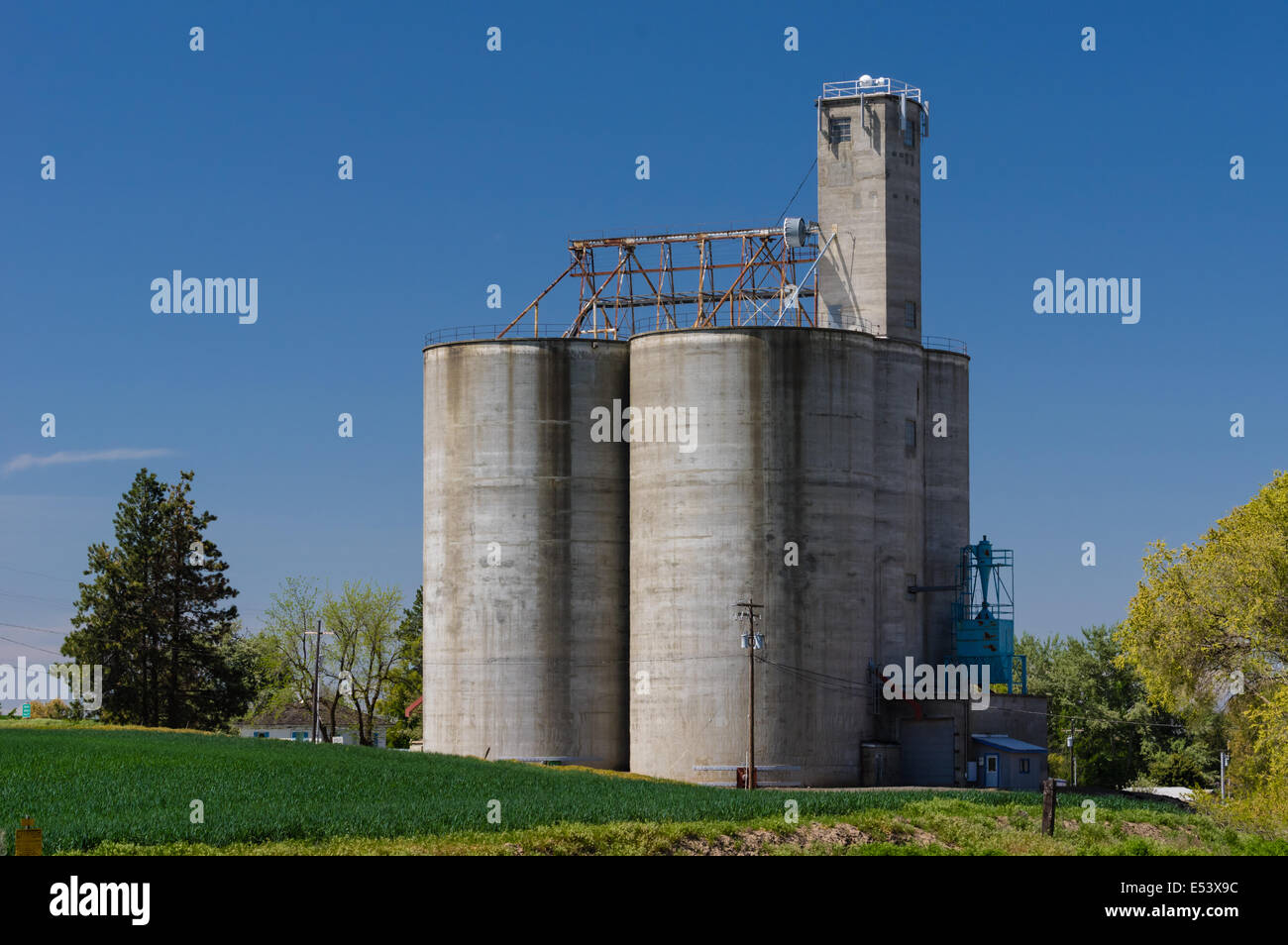 Concrete grain storage silos and elevator in a field Stock Photo - Alamy