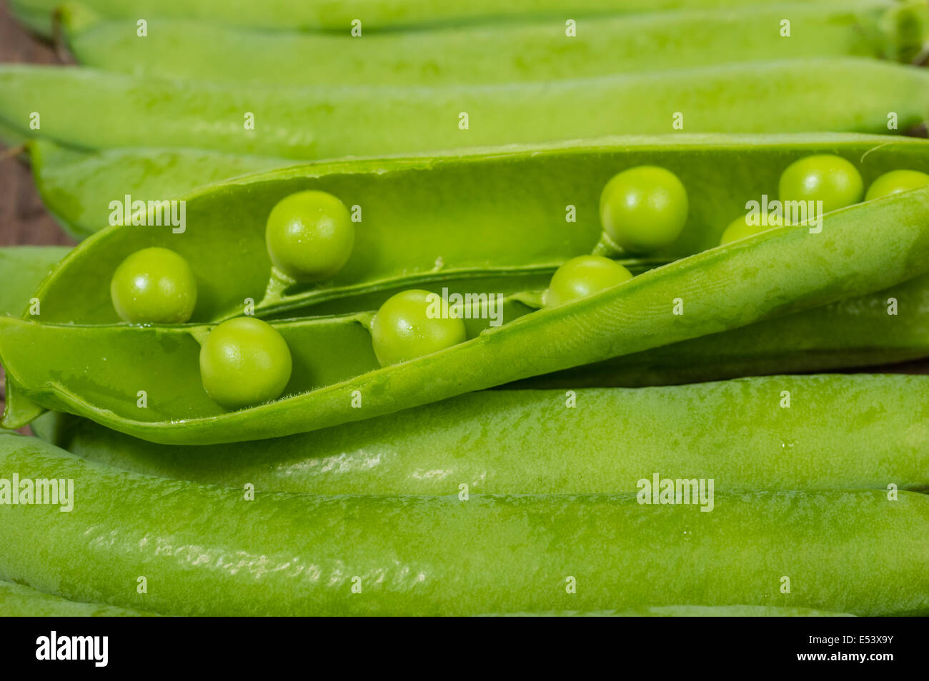 Green fresh picked pea pods closeup macro Stock Photo - Alamy