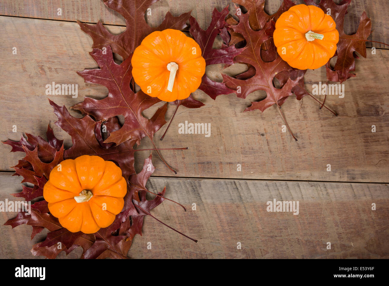 Pumpkins and fall leaves in a decorative display Stock Photo - Alamy