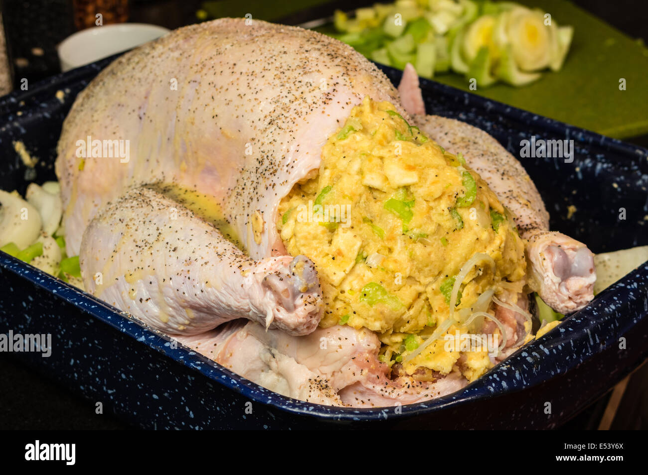 A fresh turkey stuffed and prepared ready for roasting Stock Photo - Alamy
