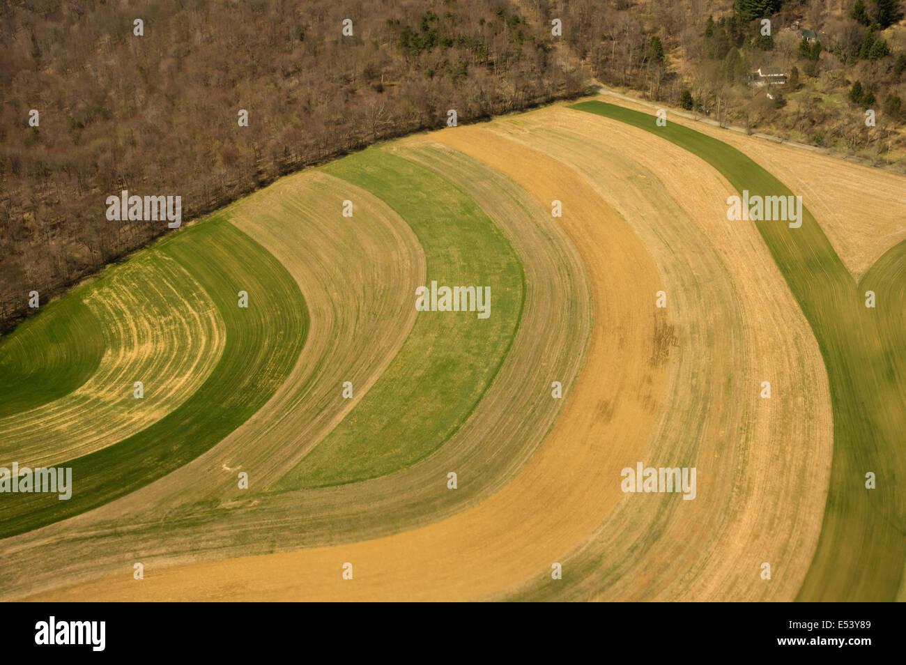 Strip cropping hi-res stock photography and images - Alamy