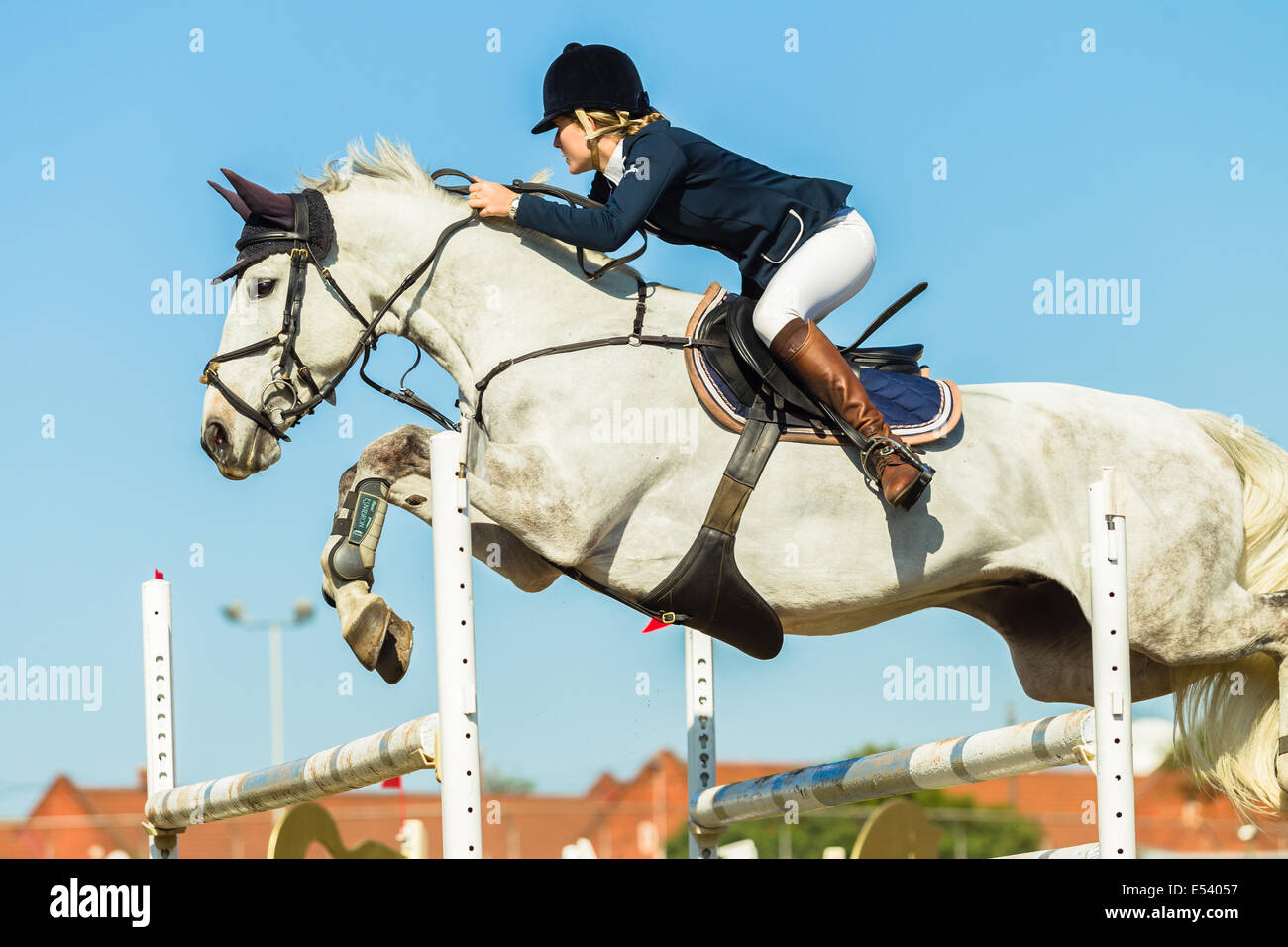Equestrian horse rider jumping flight over gate poles in championship ...