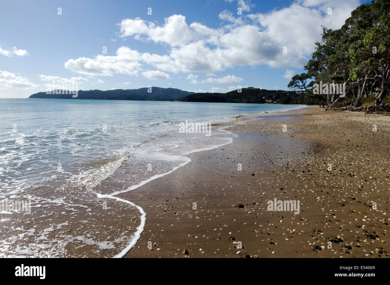 Coopers Beach High Resolution Stock Photography and Images - Alamy