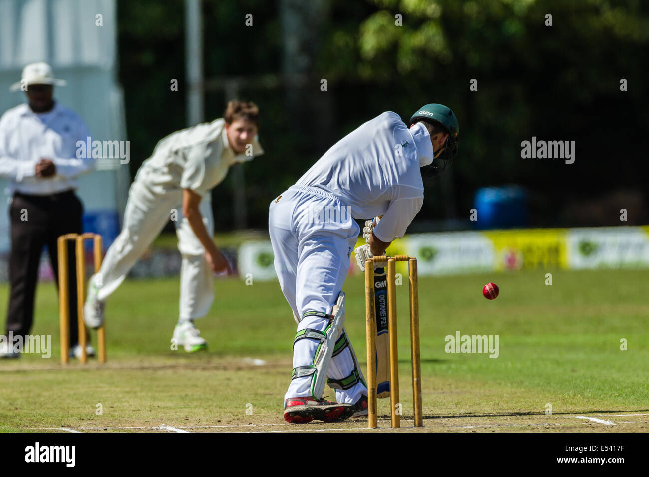 Sport cricket fielding action umpire hi-res stock photography and ...