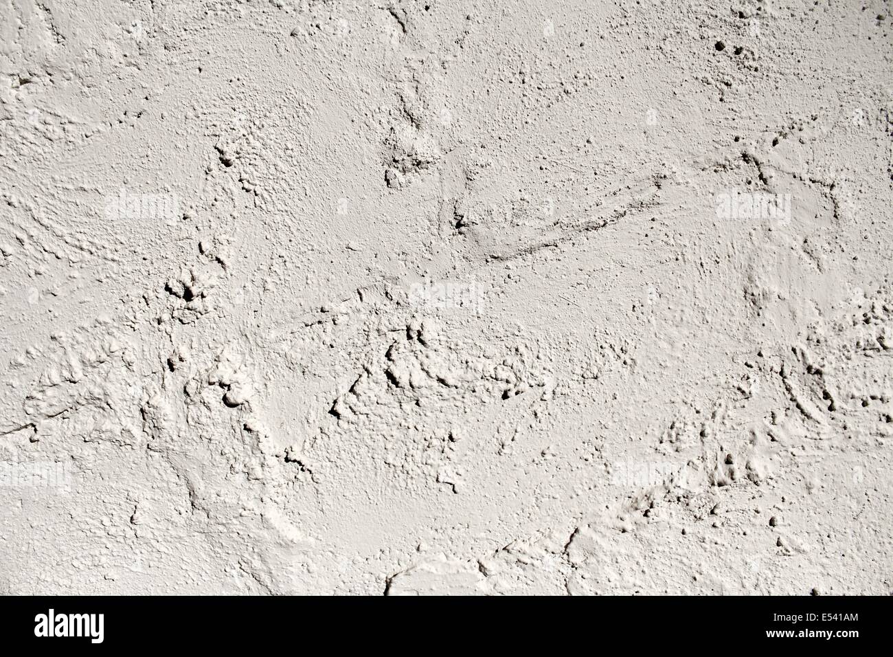 Cement wall texture Stock Photo - Alamy