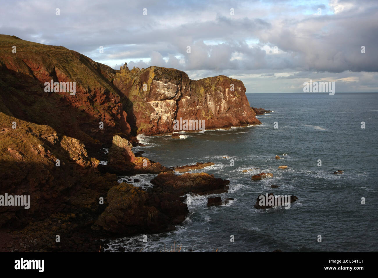 cliffs near St Abb's head,Scotland,UK Stock Photo - Alamy