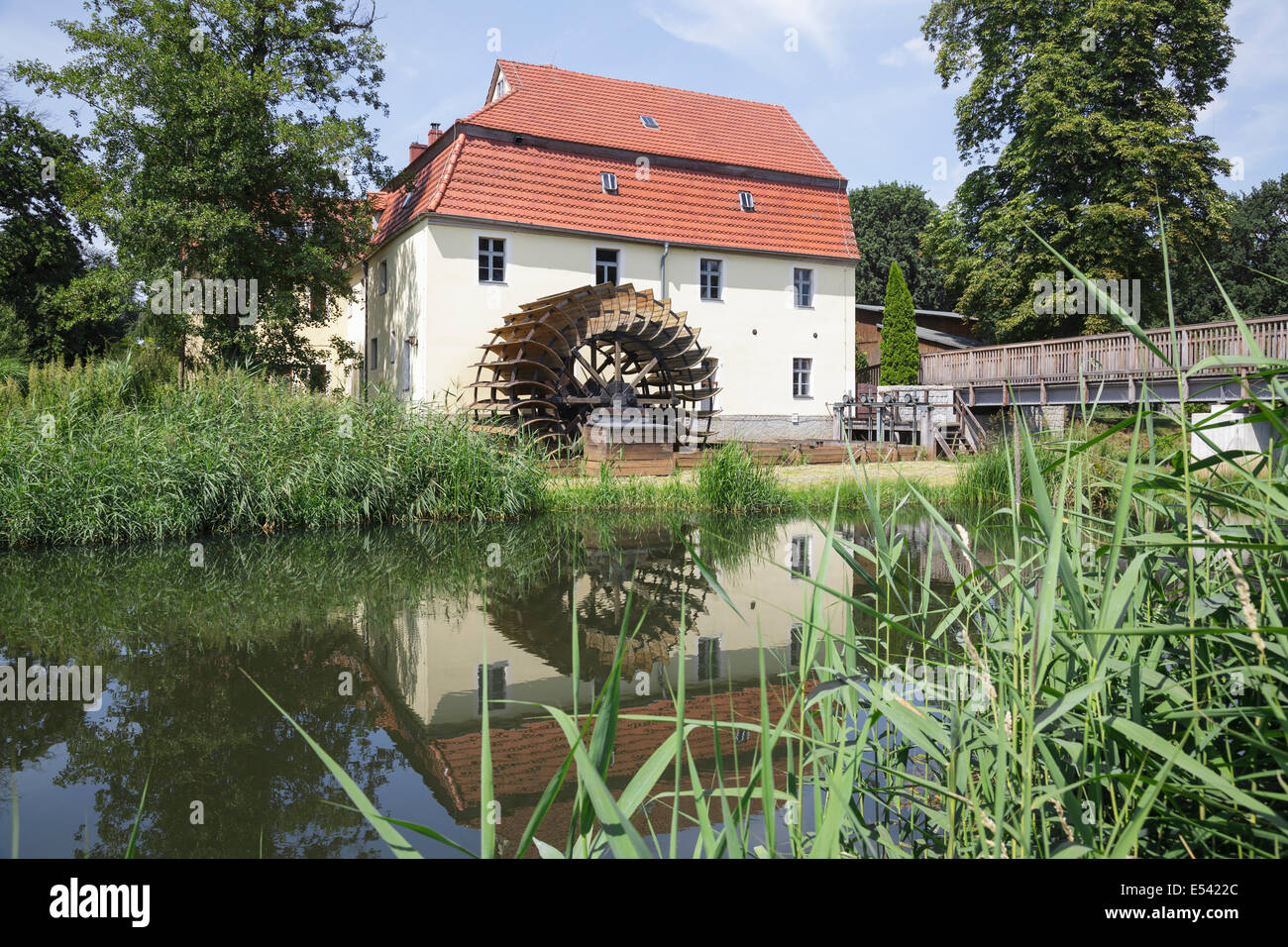 Elster germany hi-res stock photography and images - Alamy