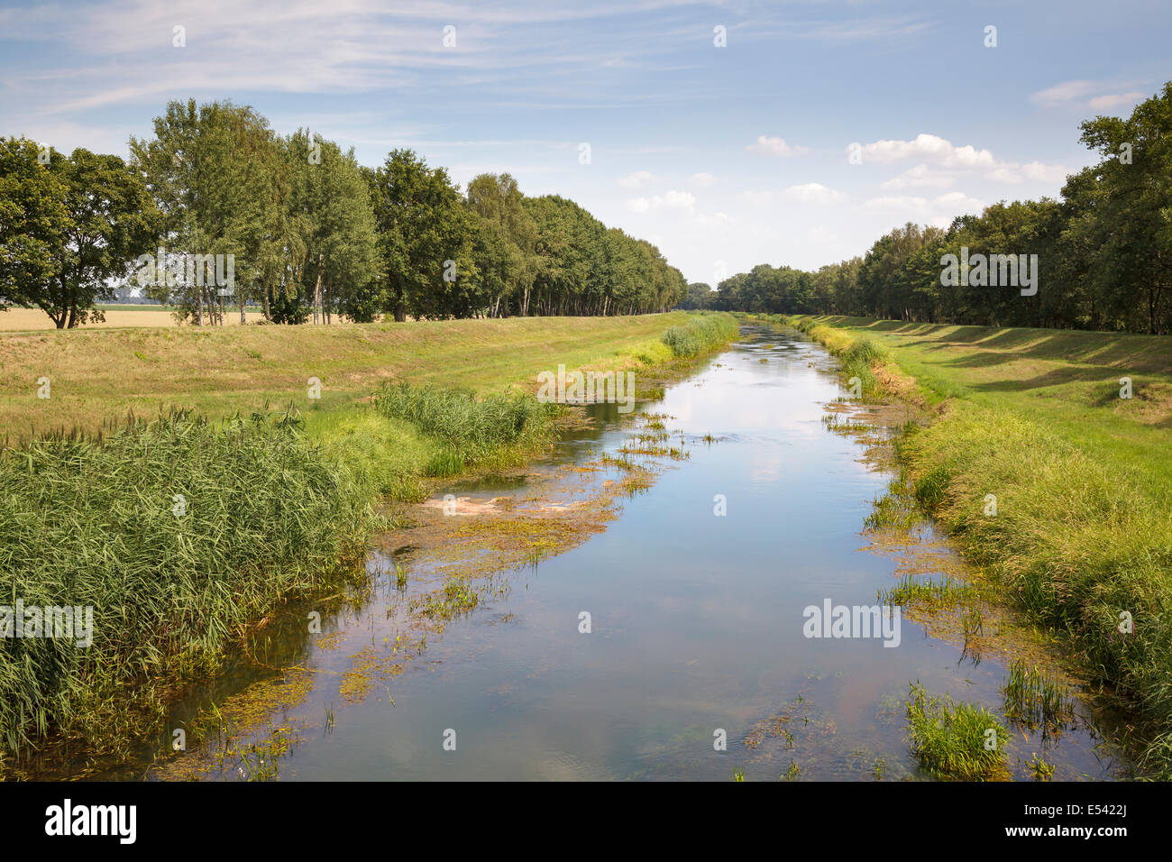 Elster germany hi-res stock photography and images - Alamy