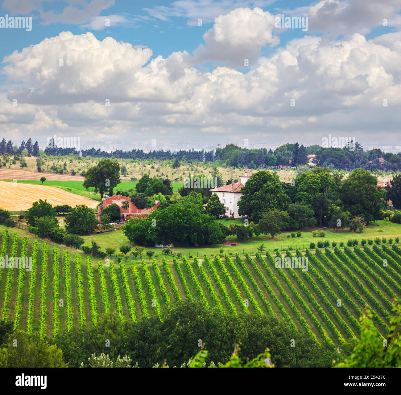 rural landscape with houses standing alone in the province of Tuscany ...