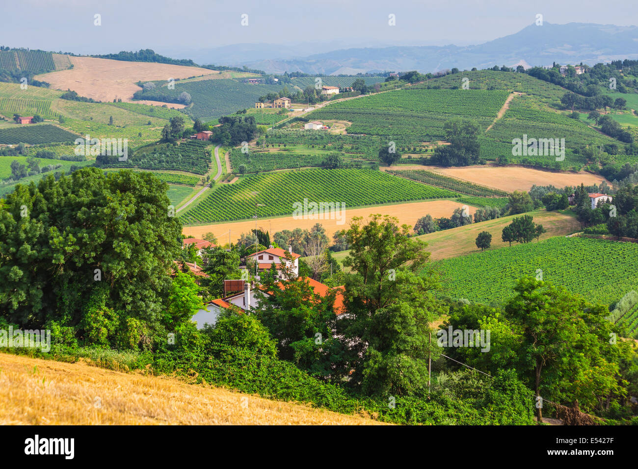 rural landscape with houses standing alone in the province of Tuscany ...