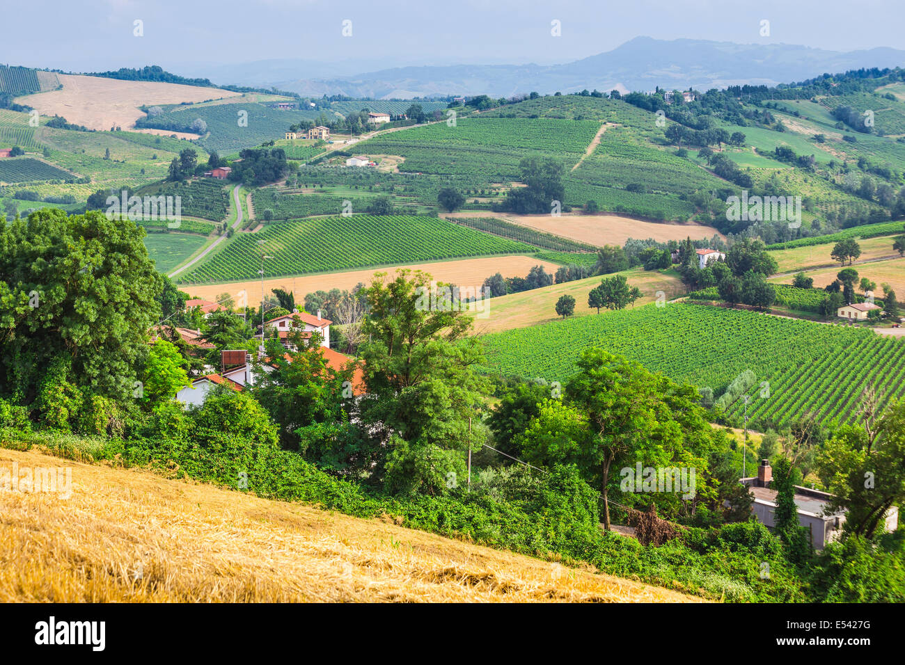 rural landscape with houses standing alone in the province of Tuscany ...