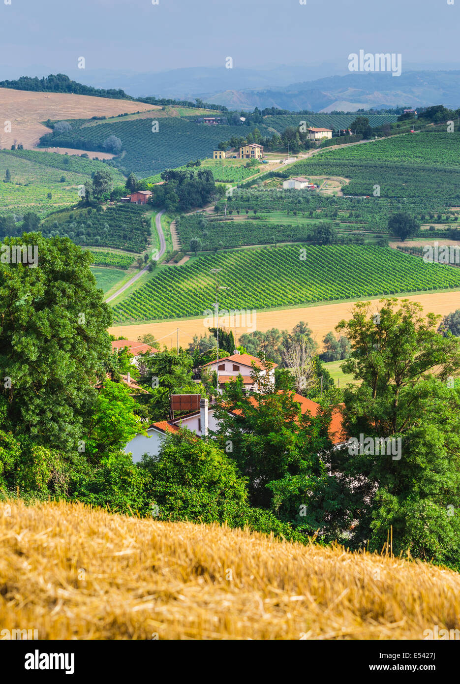 rural landscape with houses standing alone in the province of Tuscany ...