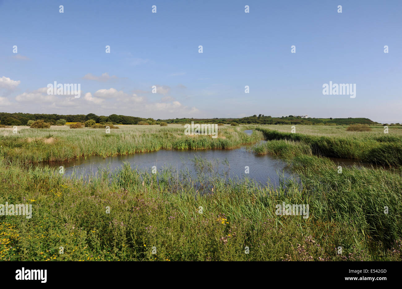 Minsmere, the rspb nature reserve hi-res stock photography and images ...