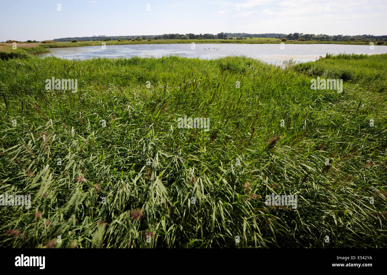 Suffolk nature reserves hi-res stock photography and images - Alamy