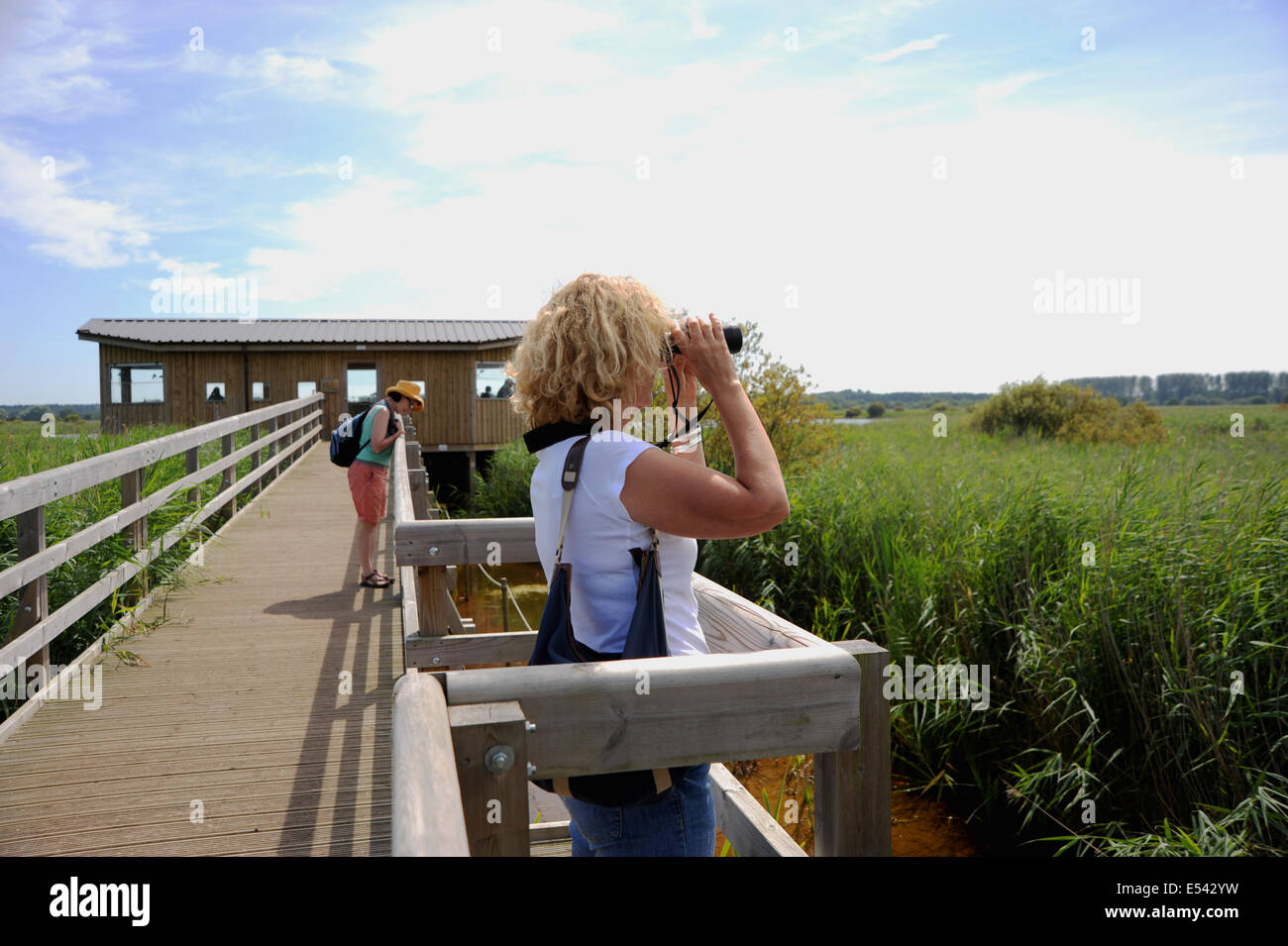 Minsmere RSPB Nature Reserve in Sufflok East Anglia UK One of the hides ...