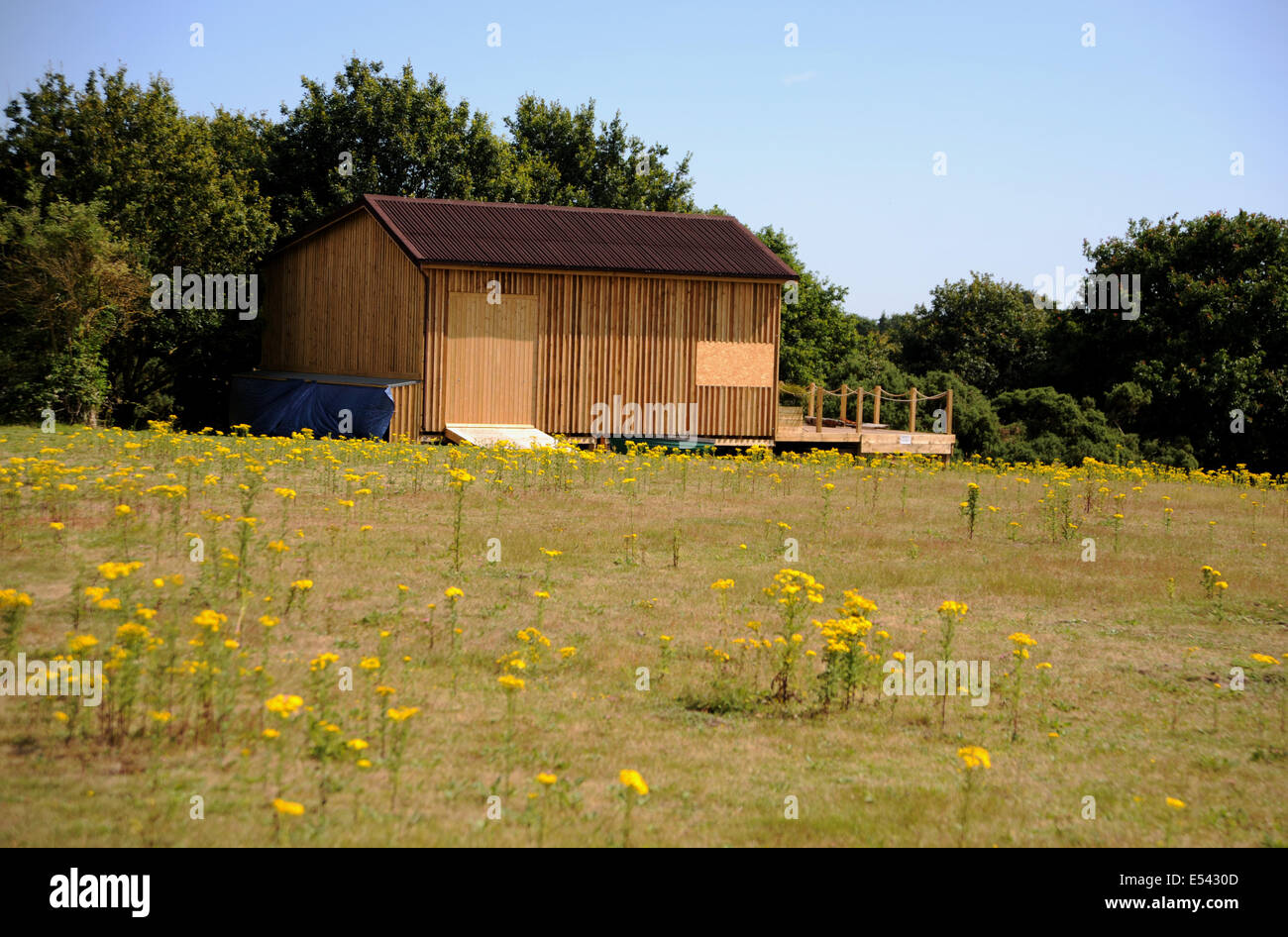 Minsmere RSPB Nature Reserve in Sufflok East Anglia UK The BBC ...